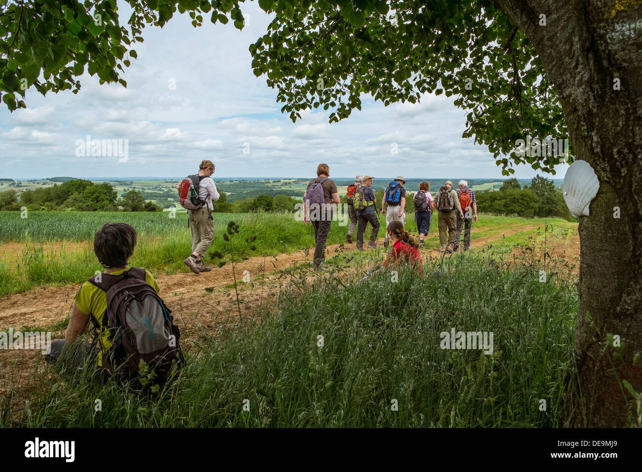 Camino de Santiago scallop shell Stock Photo - Alamy