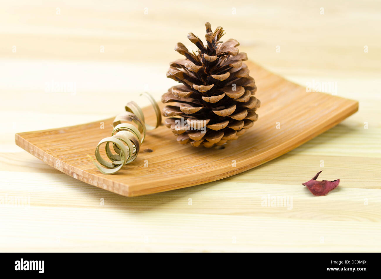 Still life - pine cone Stock Photo - Alamy