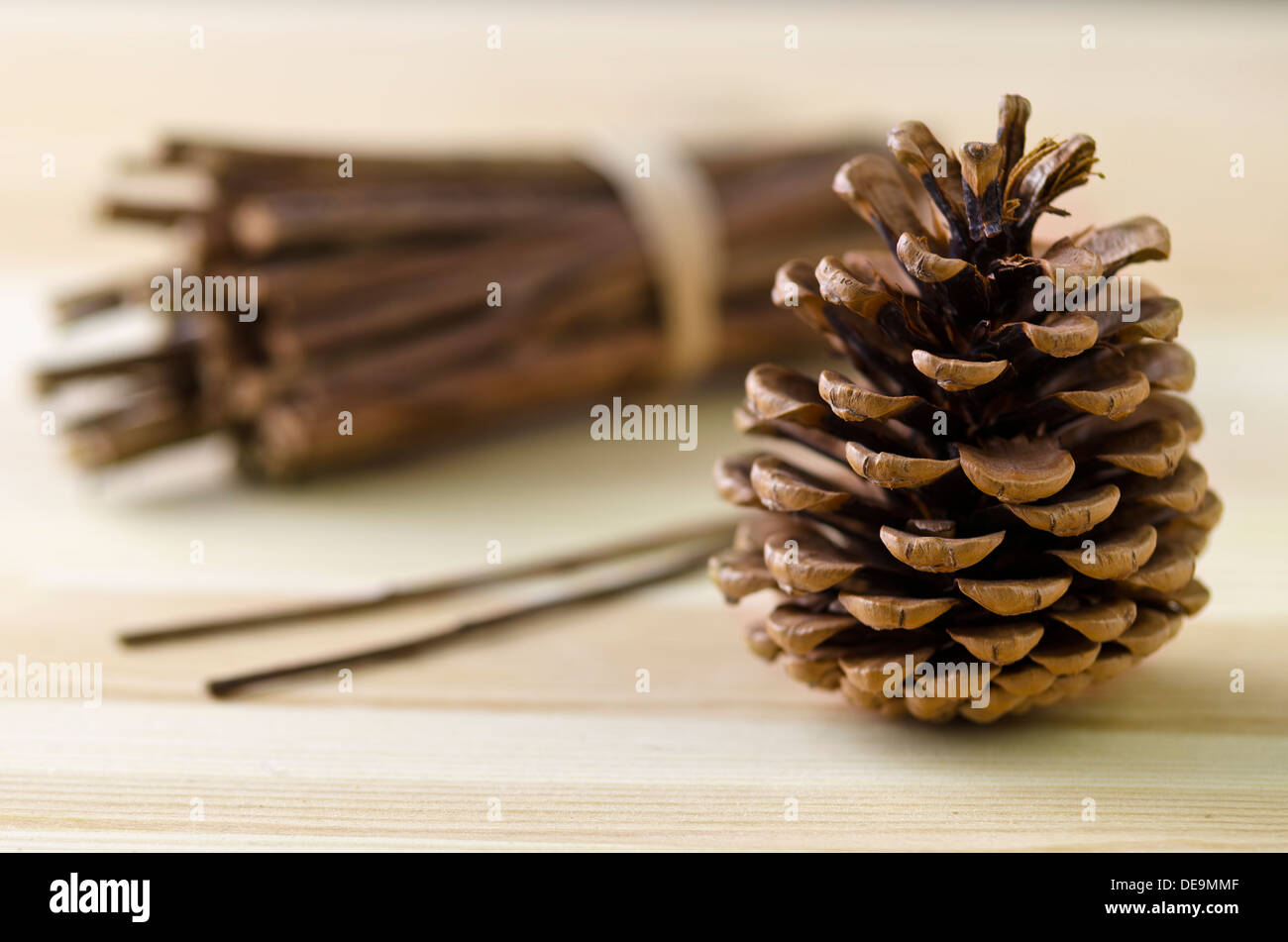 Still life - pine cone Stock Photo - Alamy