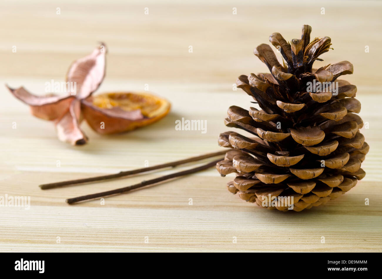 Still life - pine cone Stock Photo - Alamy