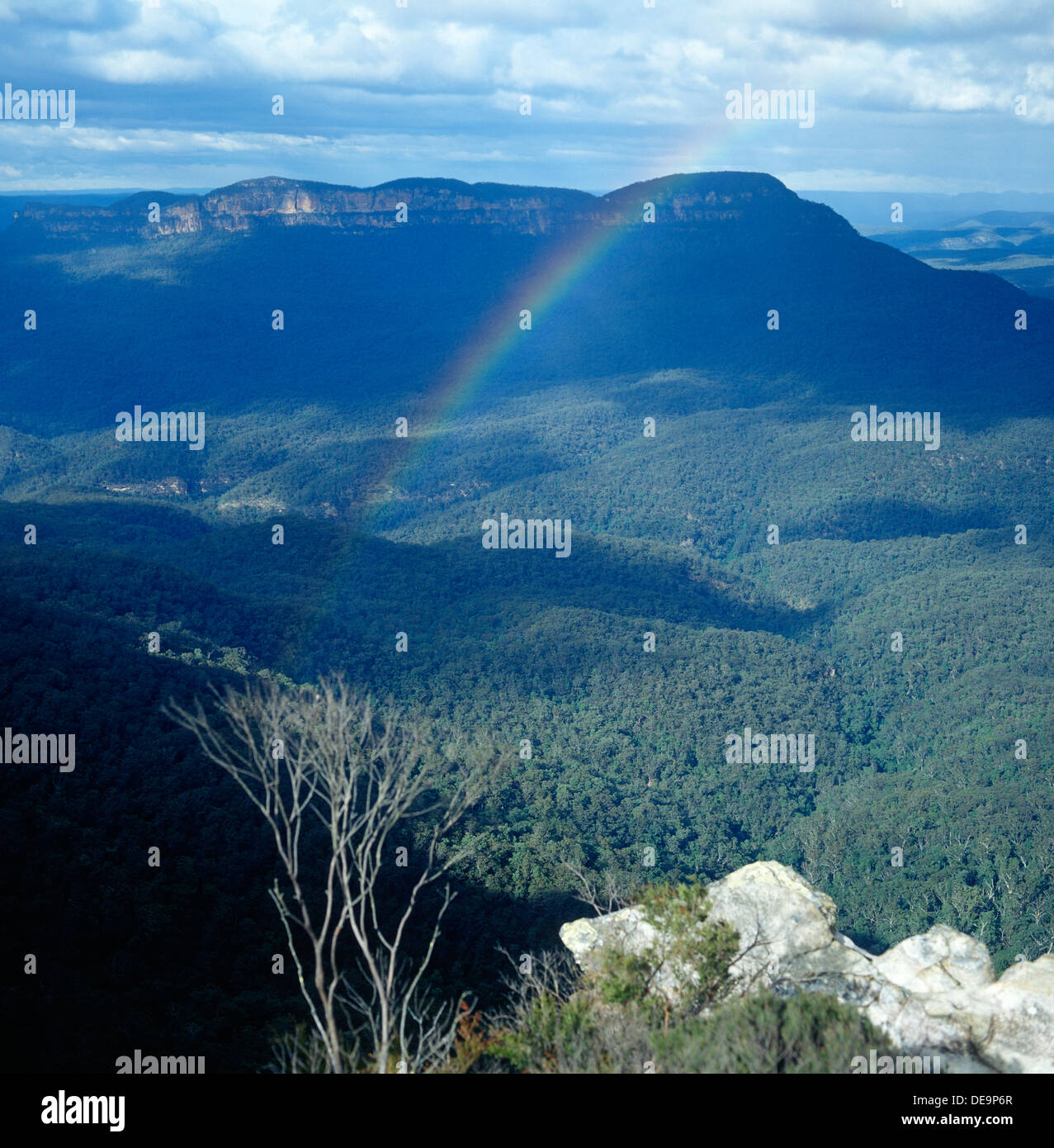 Blue mountains national park hi-res stock photography and images - Alamy