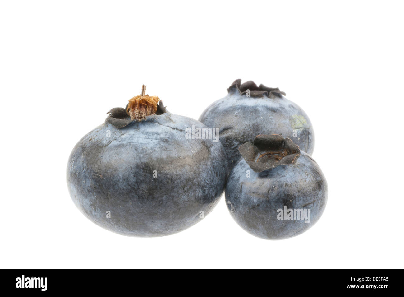 Three blueberries ornate in close up and isolated in white background ...