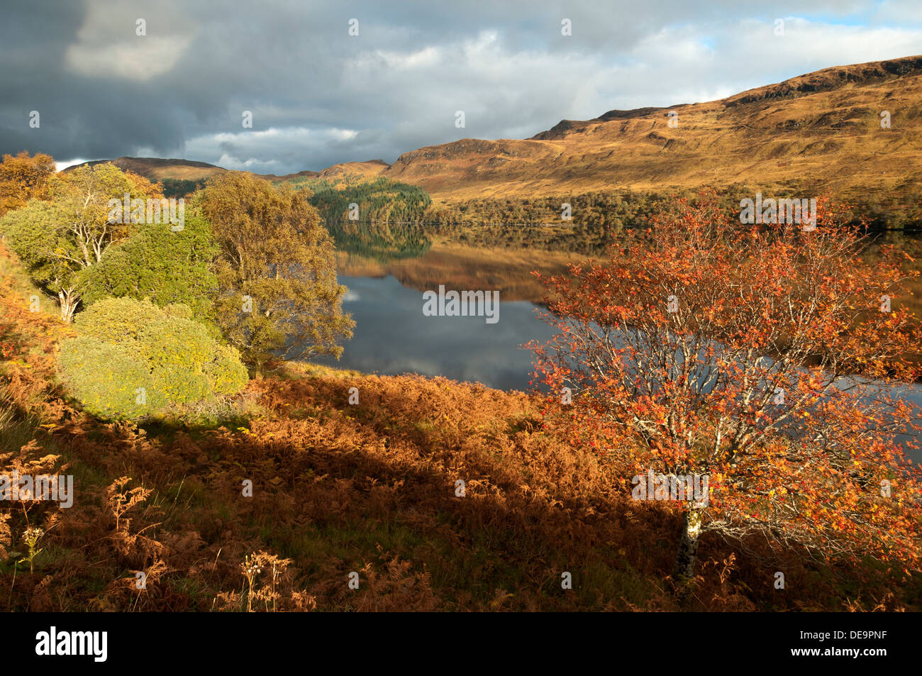Reay forest hi-res stock photography and images - Alamy