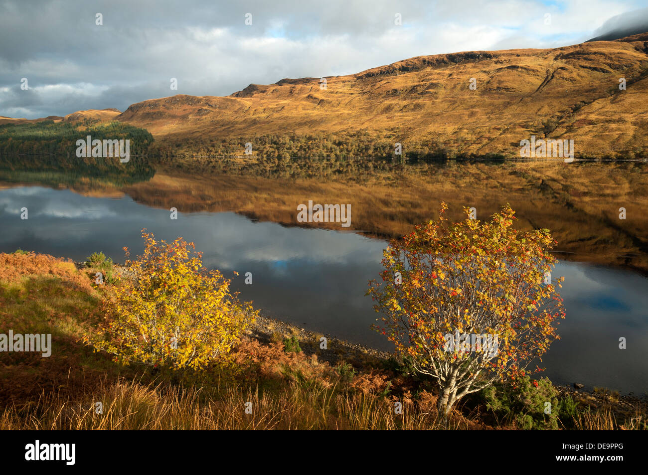 Reay hi-res stock photography and images - Alamy