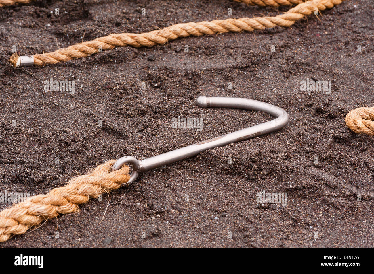 Blunt Tail High Resolution Stock Photography and Images - Alamy