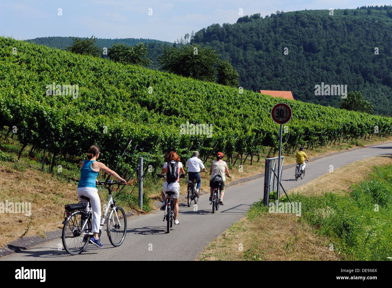 Franconia bavaria vineyards hi-res stock photography and images - Alamy