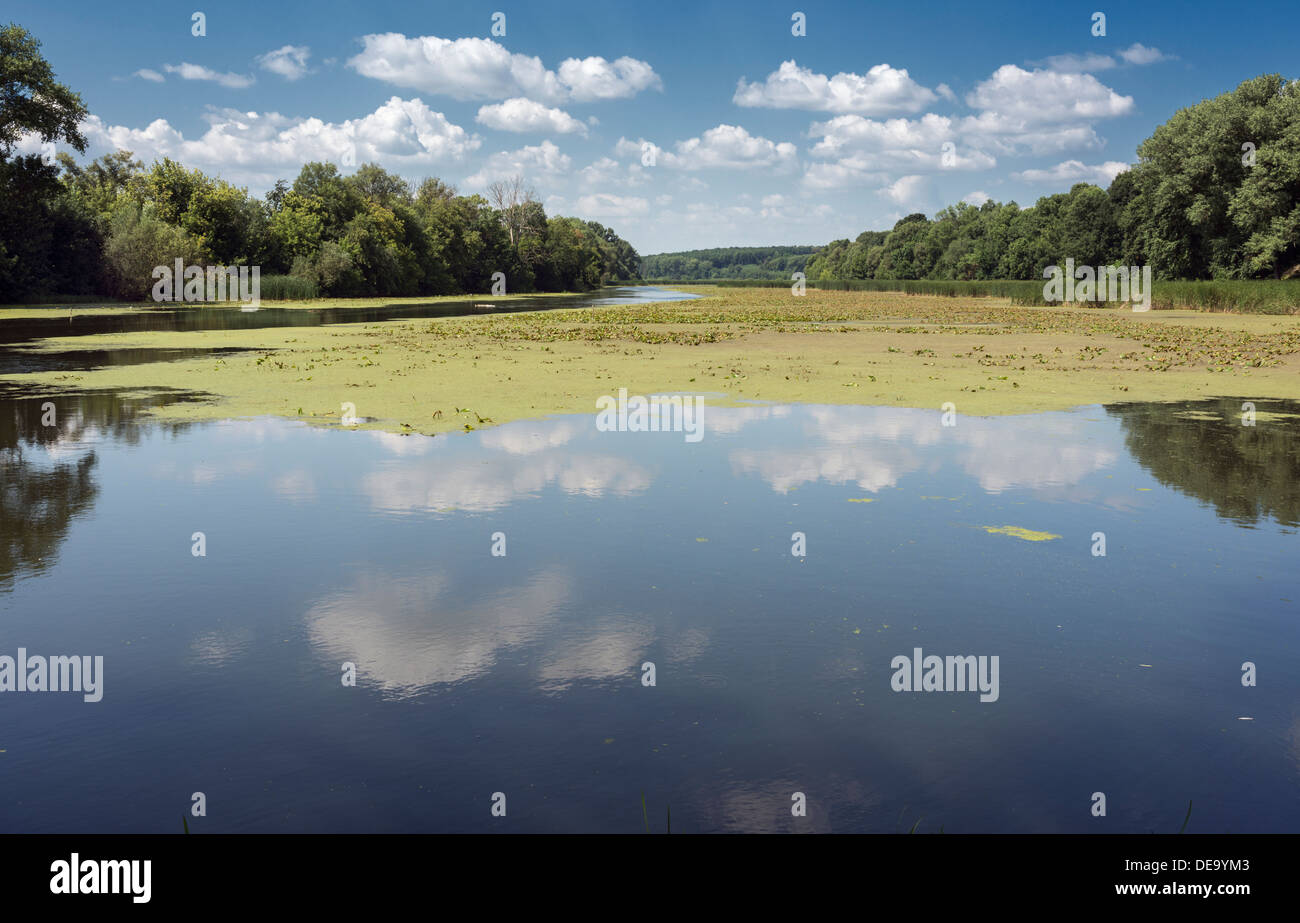 Sluch hi-res stock photography and images - Alamy
