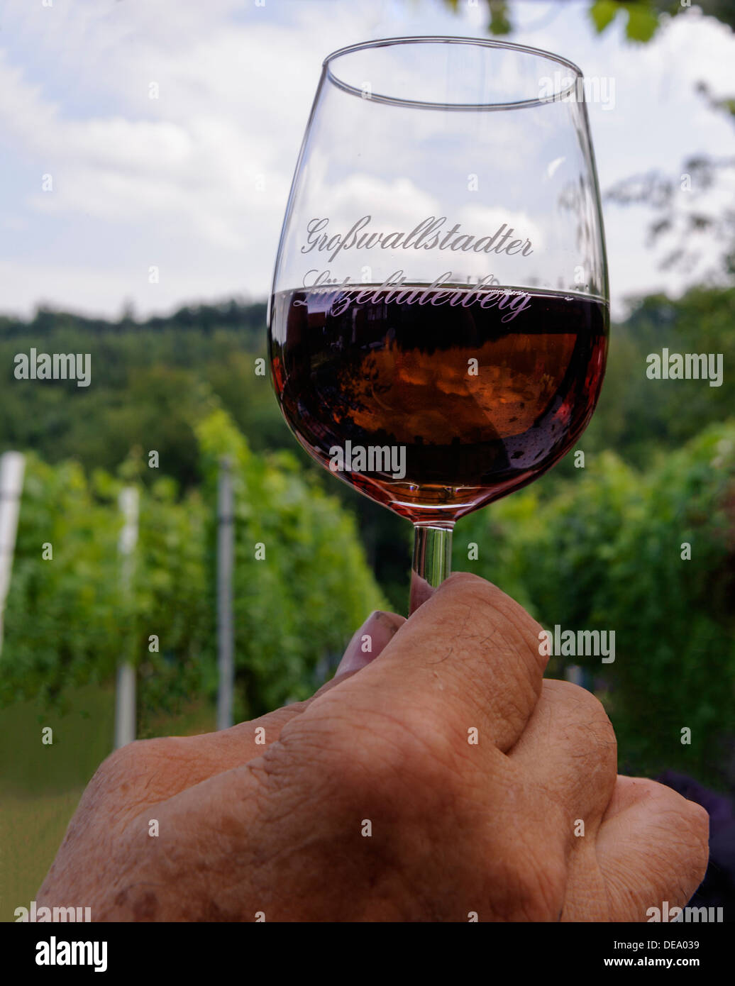 Redwine trail hi-res stock photography and images - Alamy