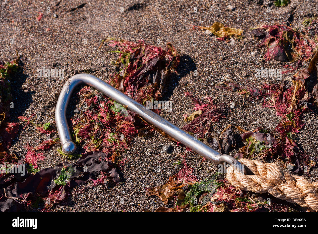 Blunt Tail High Resolution Stock Photography and Images - Alamy