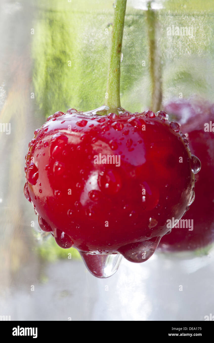 Extreme closeup of a fresh cherry with stem and big sparkling water ...