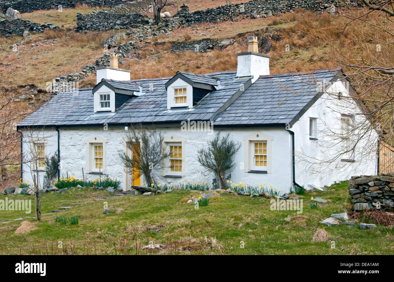 Welsh stone cottage hi-res stock photography and images - Alamy