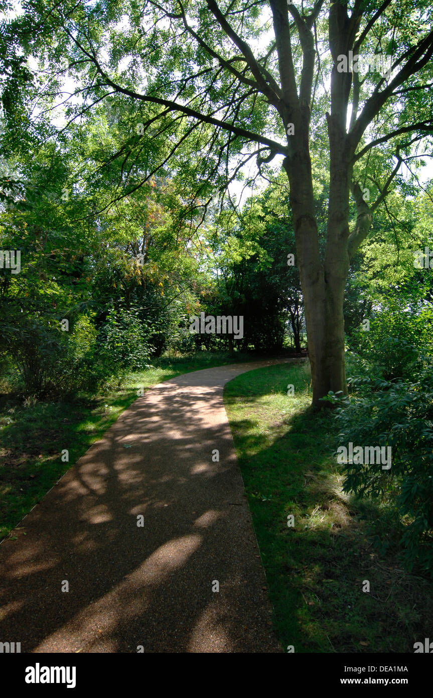 Calming path hi-res stock photography and images - Alamy