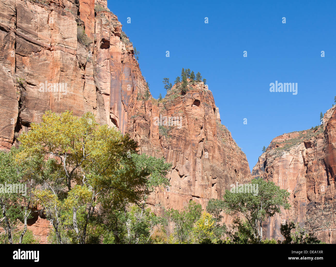 Red rocks amphitheatre walls hi-res stock photography and images - Alamy