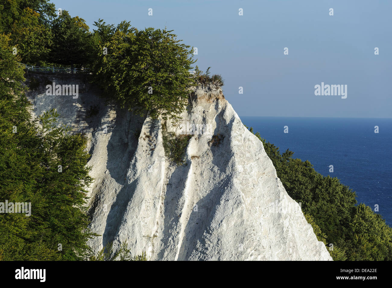 Cliff Königstuhl at Chalk coast in National Park Jasmund, Isle of Rügen ...