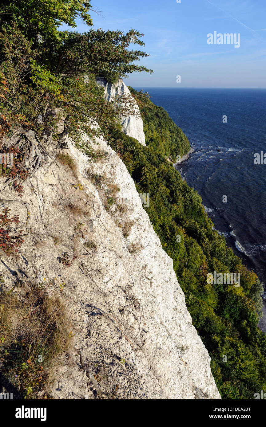 Chalk coast in National Park Jasmund, Isle of Rügen, Mecklenburg ...