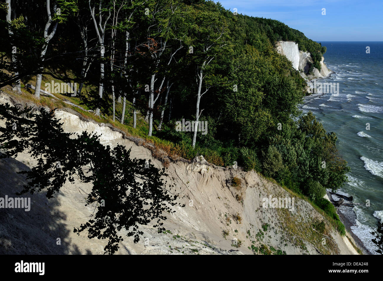 Chalk coast in National Park Jasmund, Isle of Rügen, Mecklenburg ...