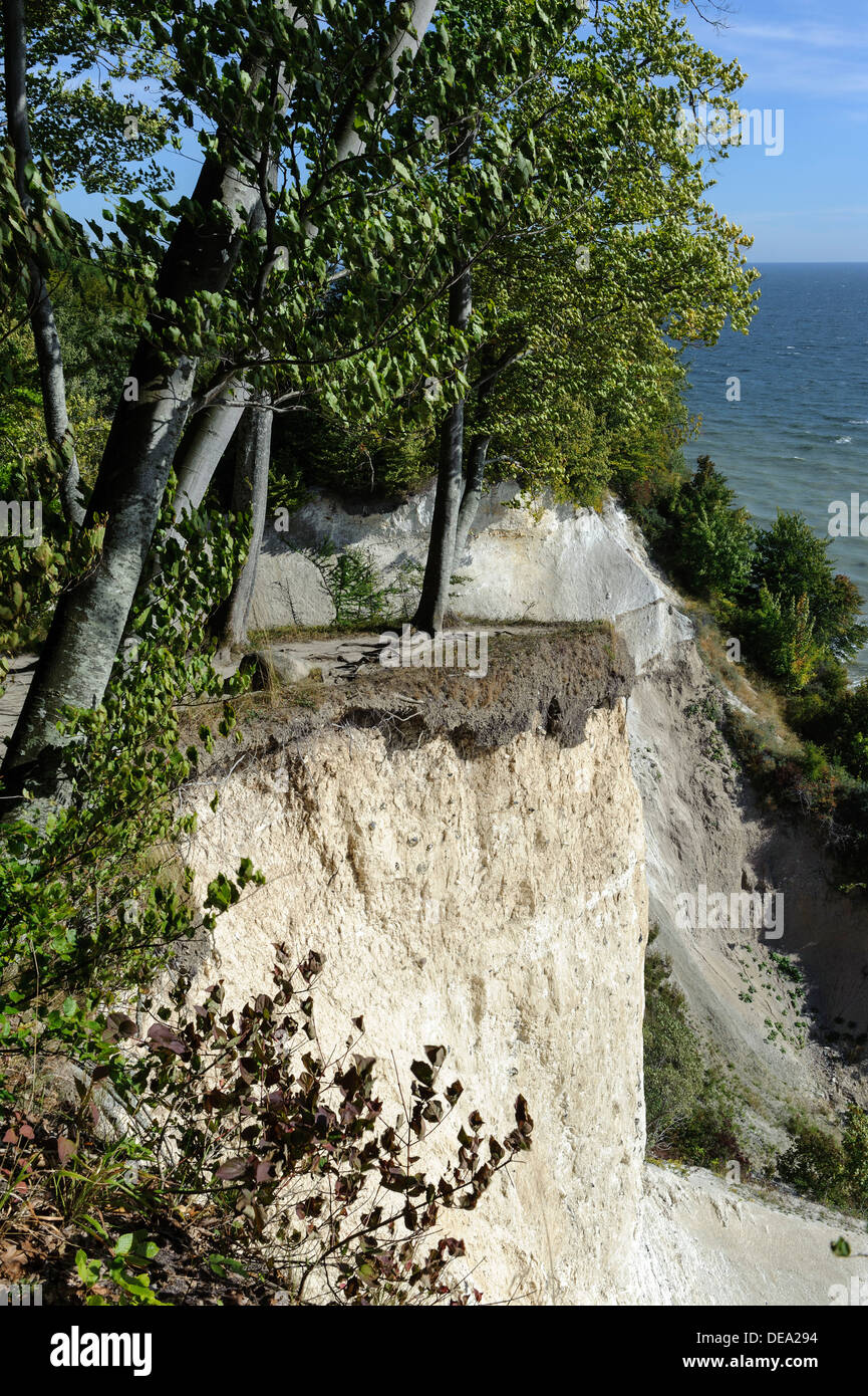 Chalk coast in National Park Jasmund, Isle of Rügen, Mecklenburg ...