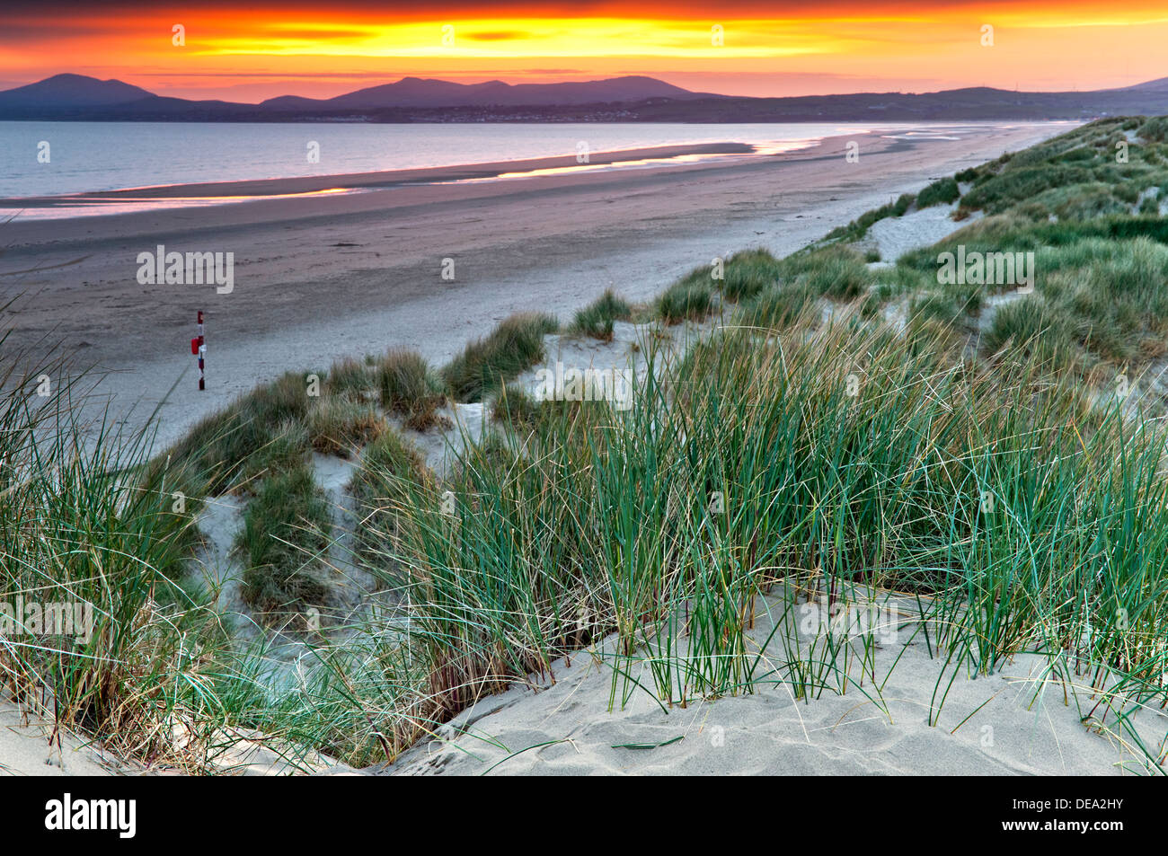 Last Light on Harlech Beach, Tremadog Bay and Sunset Over The Lleyn ...