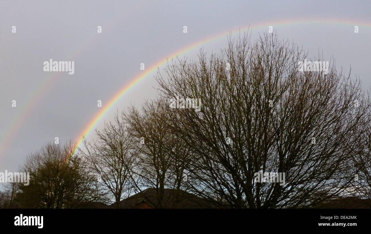 Nature Rainbow Tree Stock Photo - Alamy
