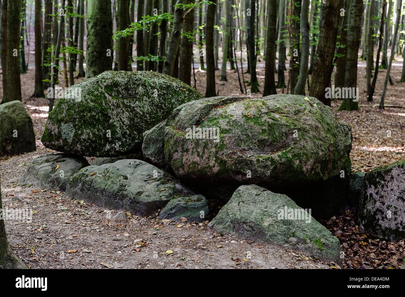 Tumulus Magelowberg with Megalithc tomb, neolithic age National Park ...