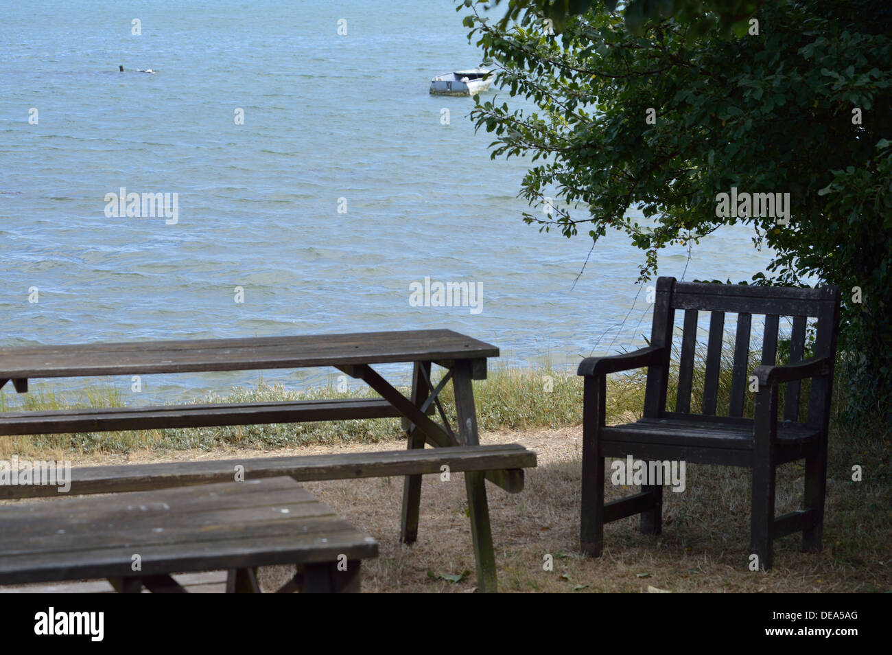 a bench under a tree Stock Photo - Alamy