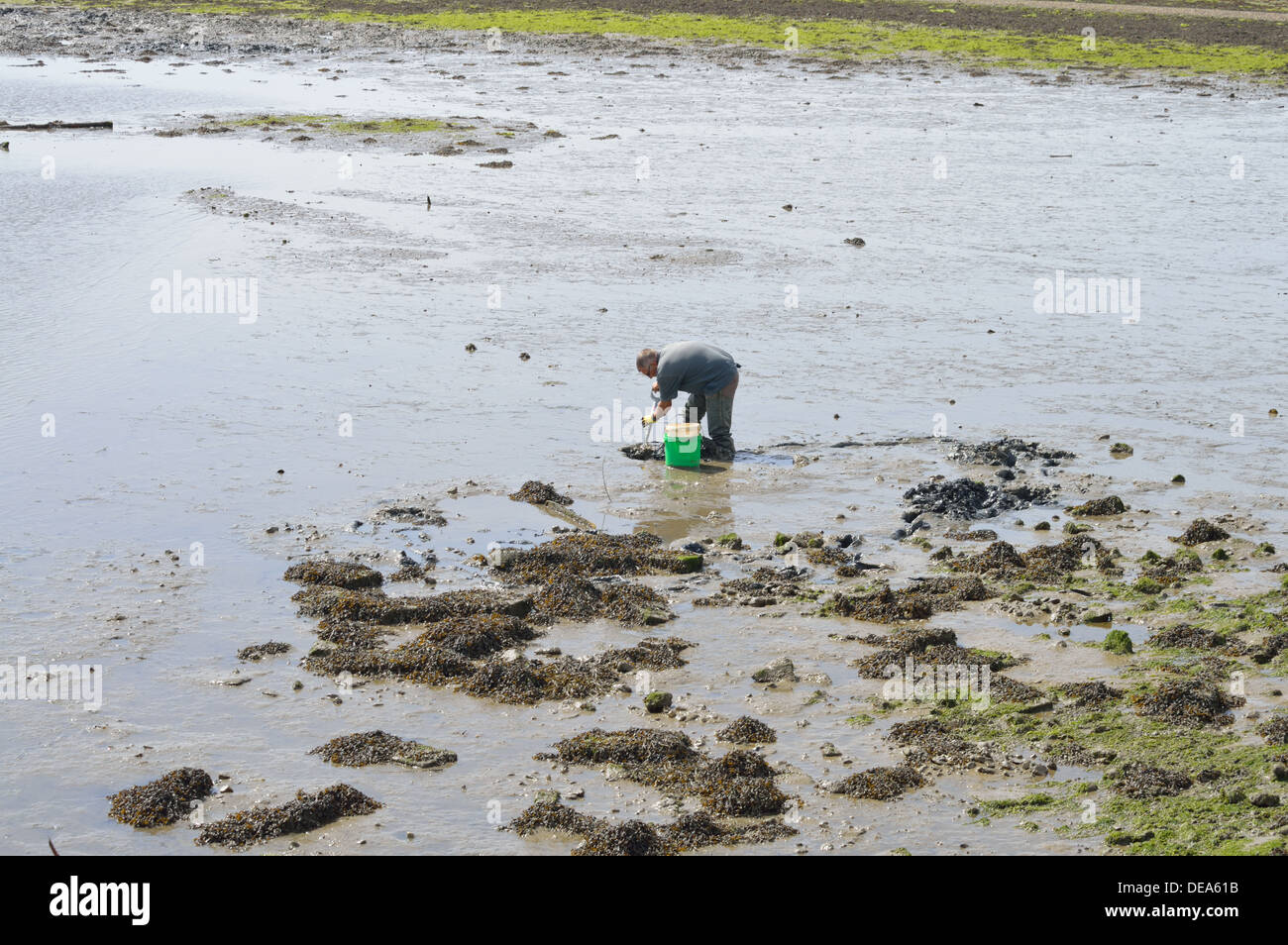 Dig bait hi-res stock photography and images - Alamy