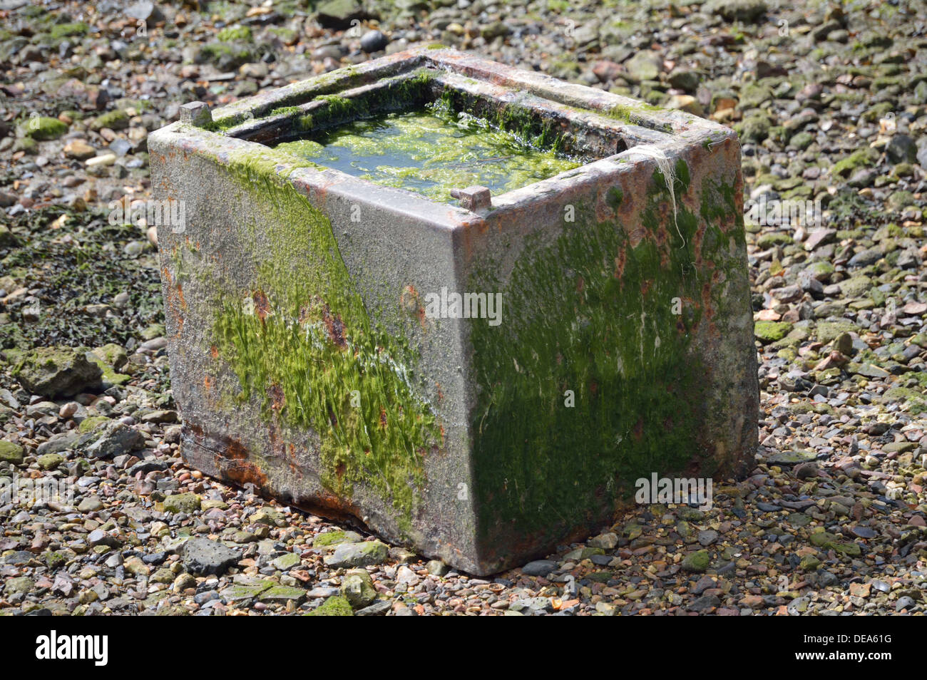 Stones mud hi-res stock photography and images - Alamy