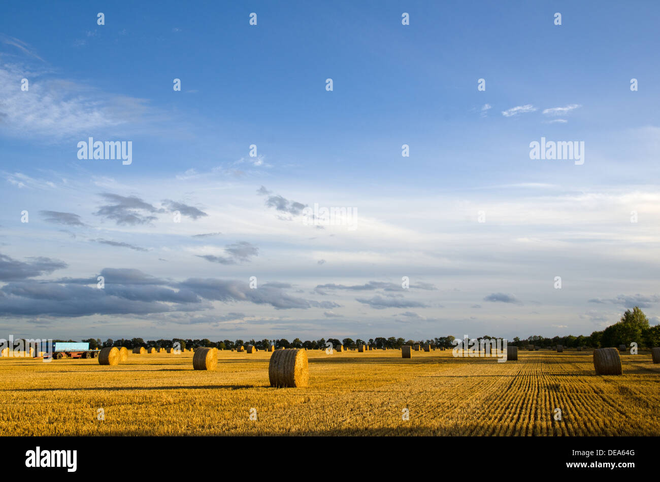 Field of straw bales hi-res stock photography and images - Alamy