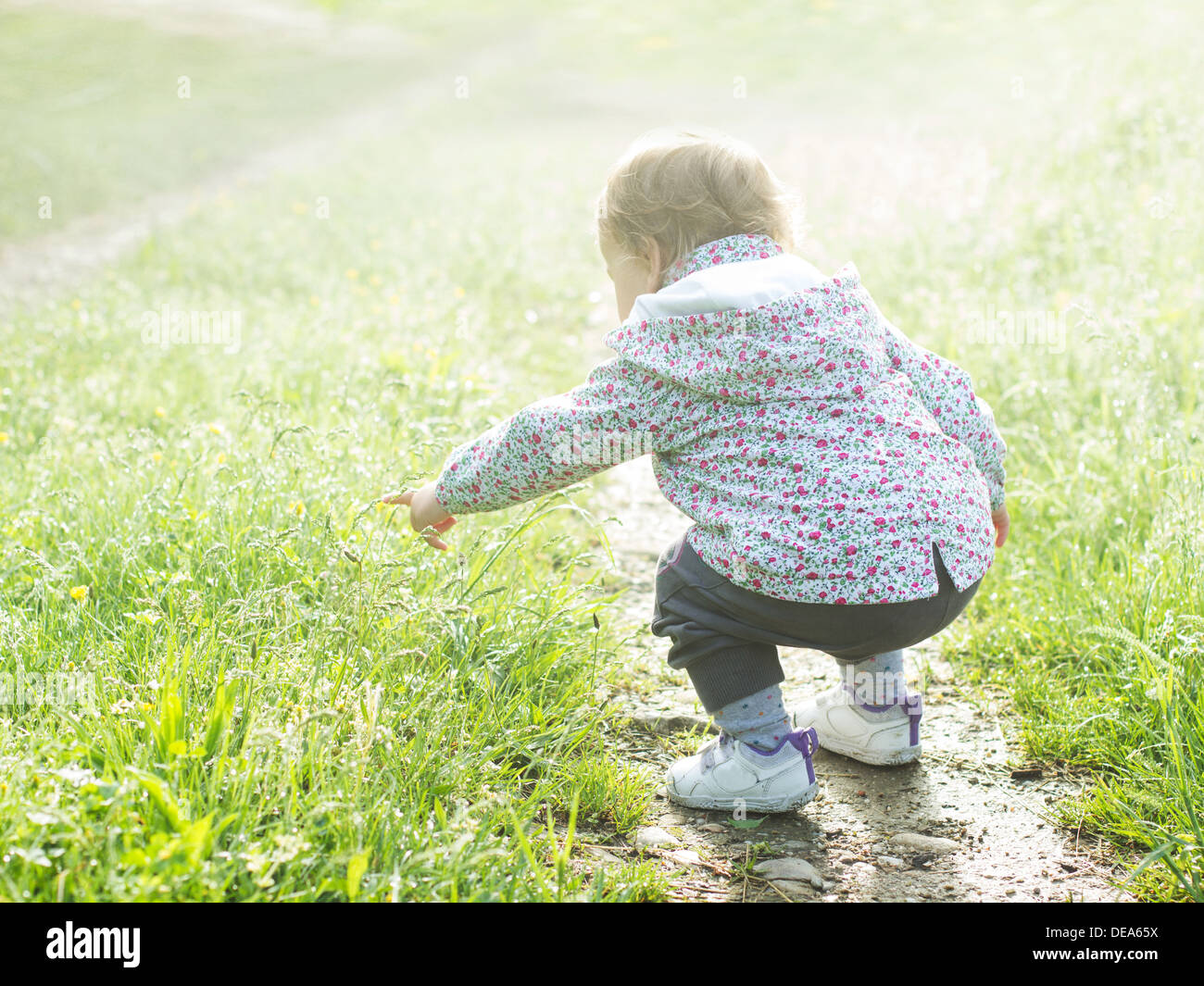 Toddler baby girl touching green grass at beautiful morning Stock Photo ...