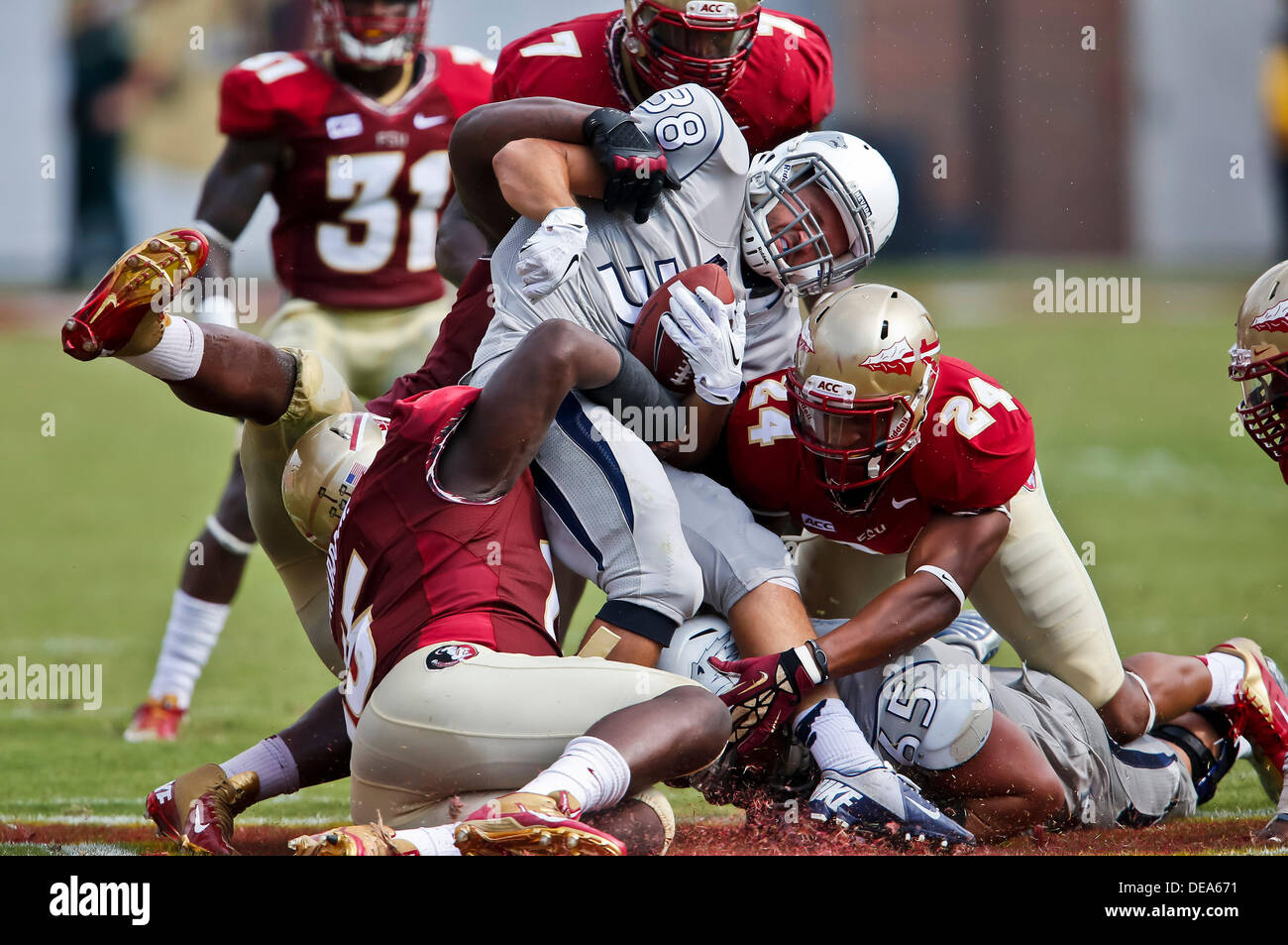 Nathan wolf hi-res stock photography and images - Alamy