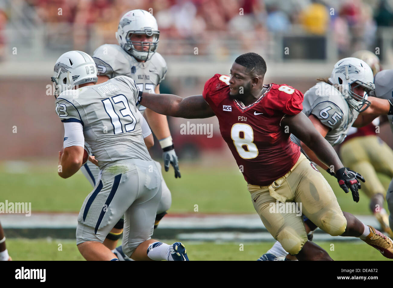 Timmy Jernigan Fsu