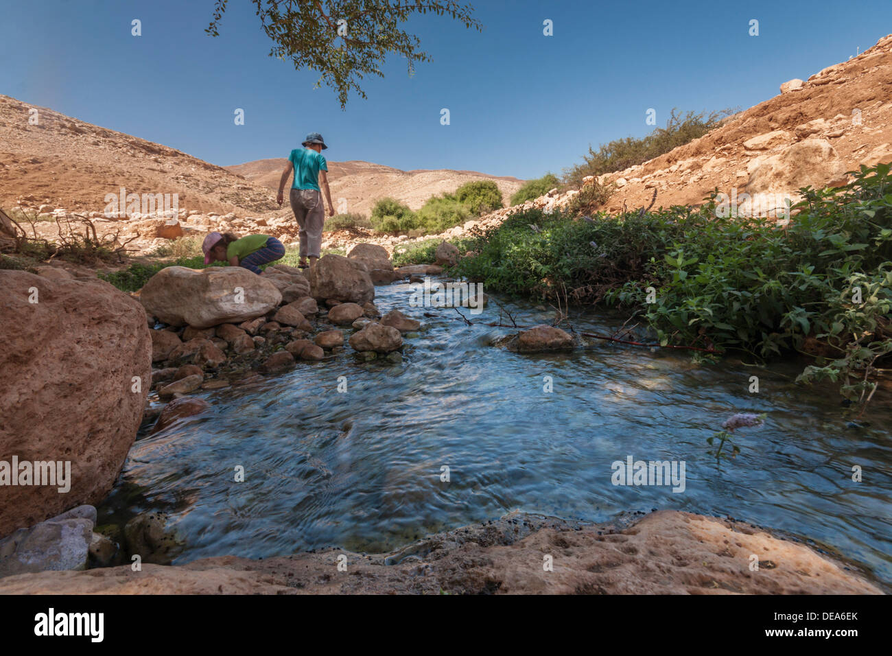 Patzaael Spring, Israel. an oasis in the Judea desert. A woman walks ...