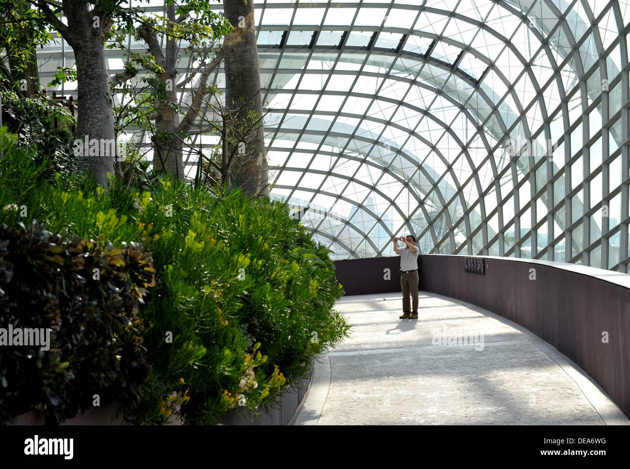 Singapore Tourist Attractions - Gardens by the Bay Stock Photo - Alamy Singapore Tourist Attractions - Gardens by the Bay Stock Photo - Alamy
