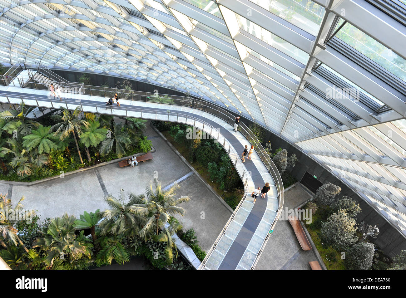 The cloud walk - Cloud Forest at Gardens by the Bay Stock Photo - Alamy