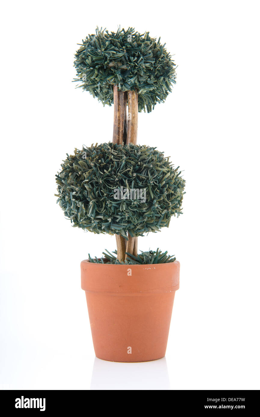 Shrub pot Cut Out Stock Images & Pictures - Alamy