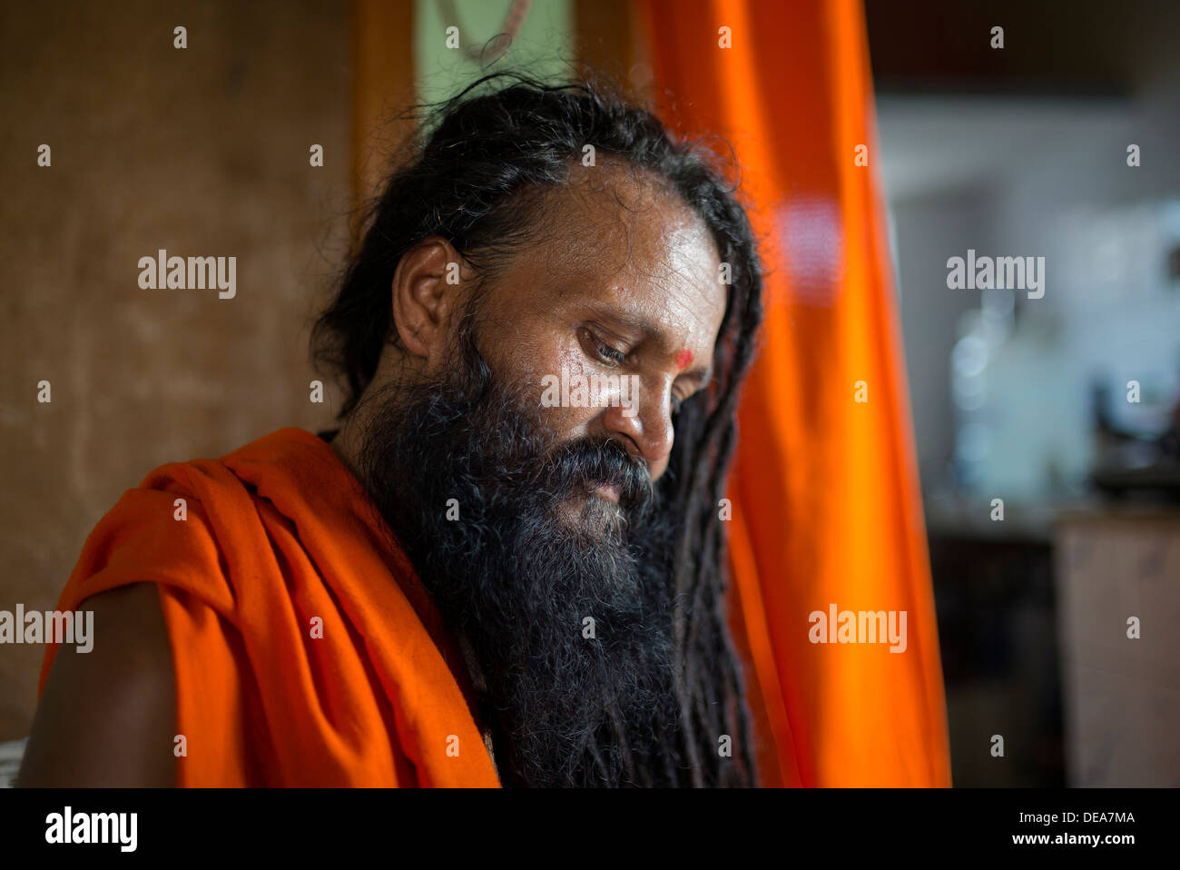 Indian Sadhu with dreadlocks portrait Stock Photo - Alamy