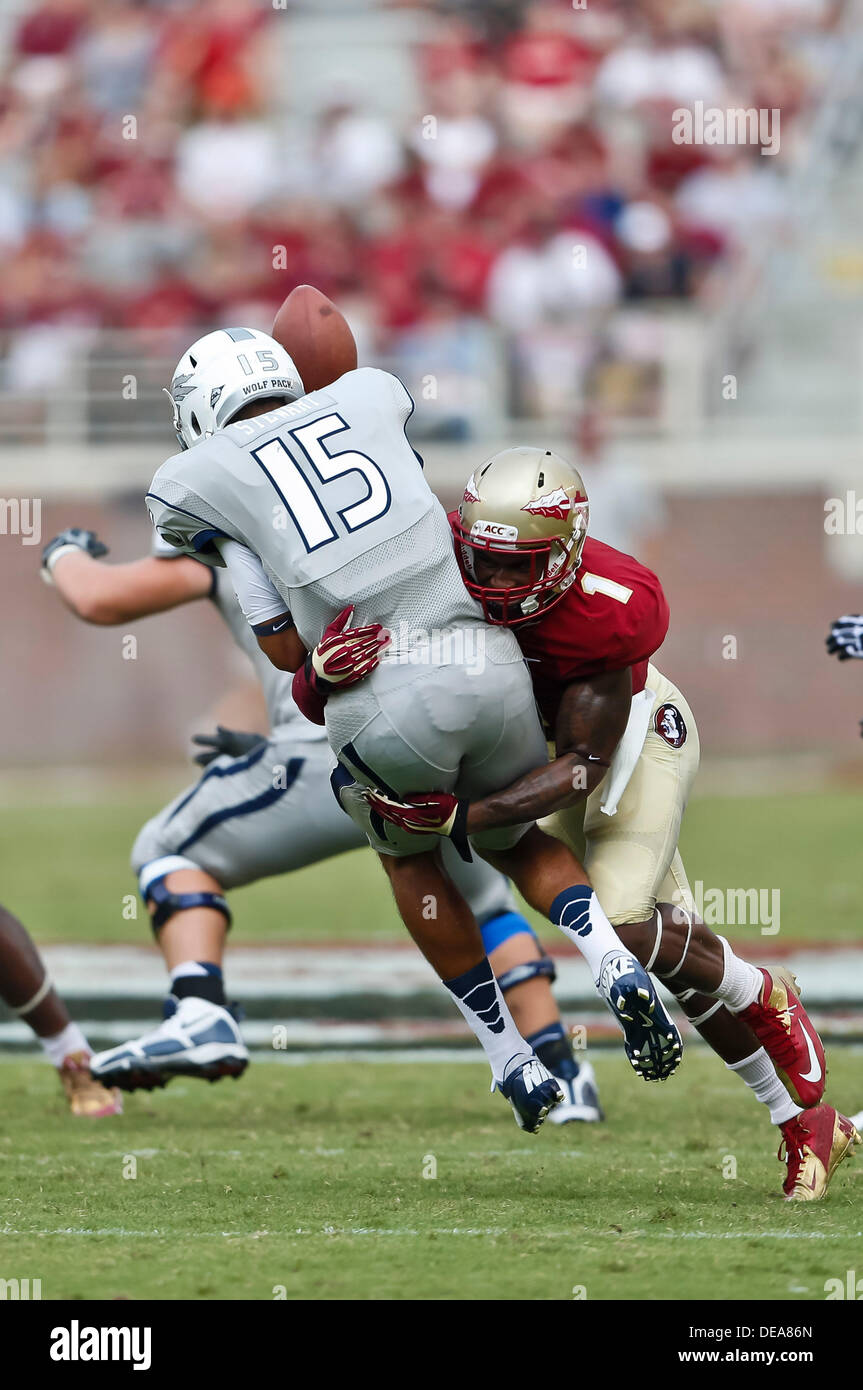 Tyler hunter hi-res stock photography and images - Alamy