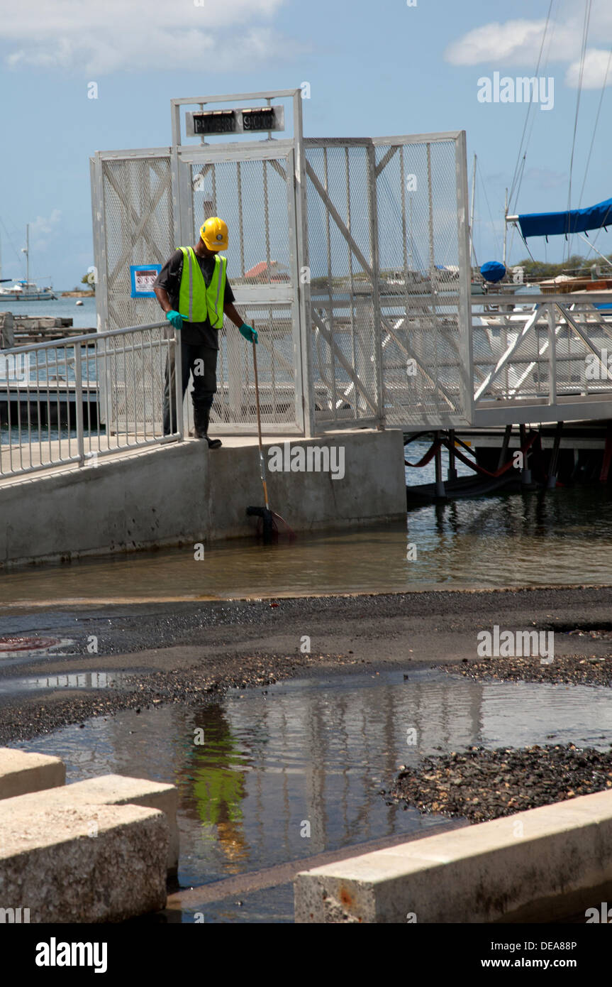 Honolulu, Hawaii, US. 14th Sep, 2013. Penco worker scooping up dead ...