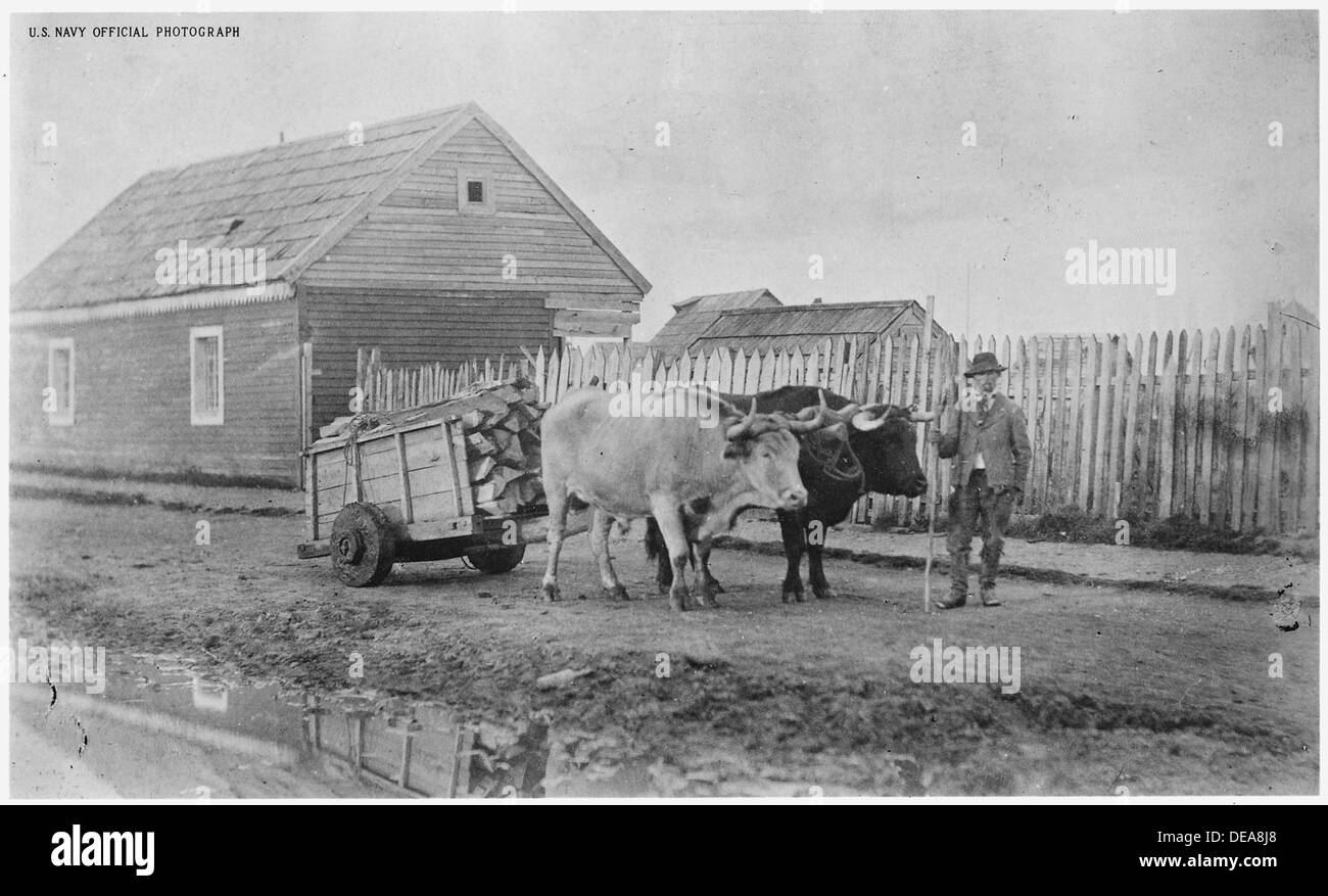 This was the era of oxen which Farragut housed in the stables, Bldg. 88 ...