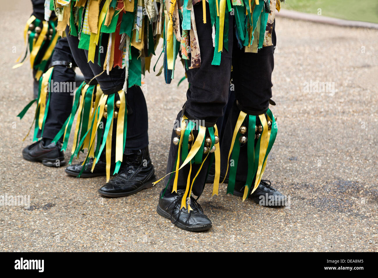 Morris dancers wearing bell pads on their shins at the Peterborough ...