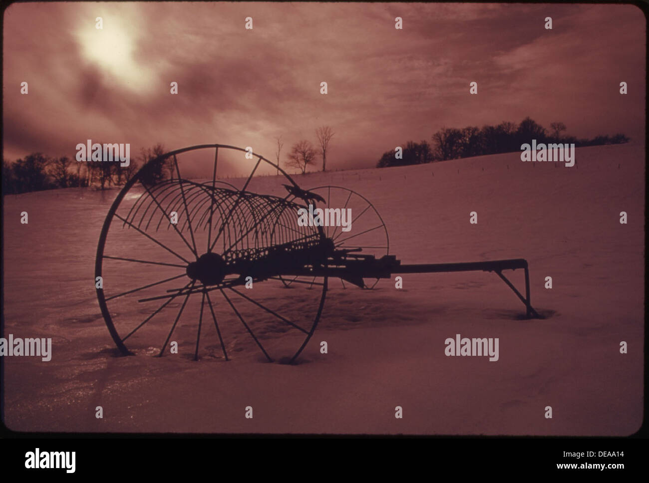 An old-fashioned hay rake, once pulled by powerful horse teams, now ...