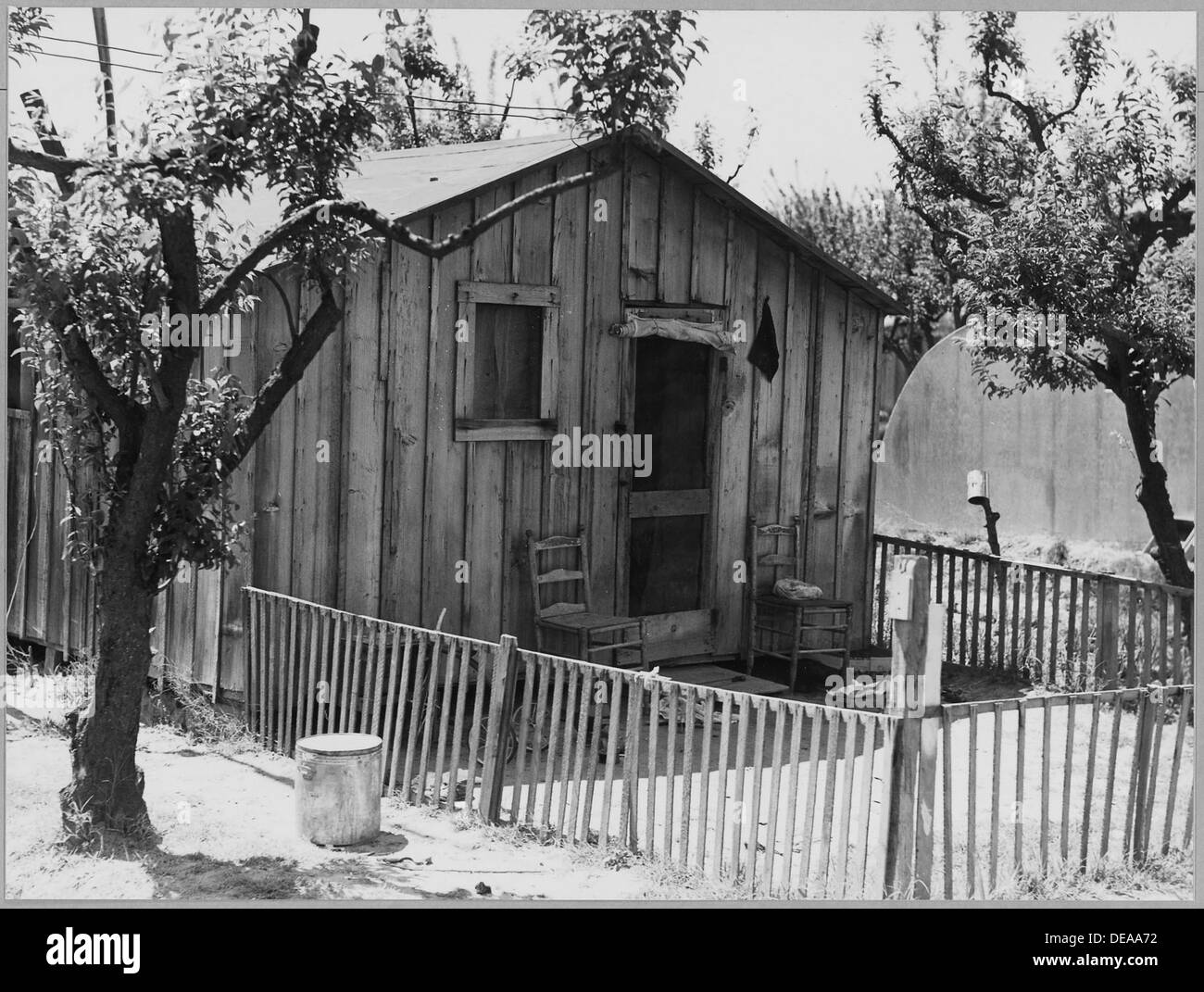 Arvin, Kern County, California. One in a community of shacks in ...