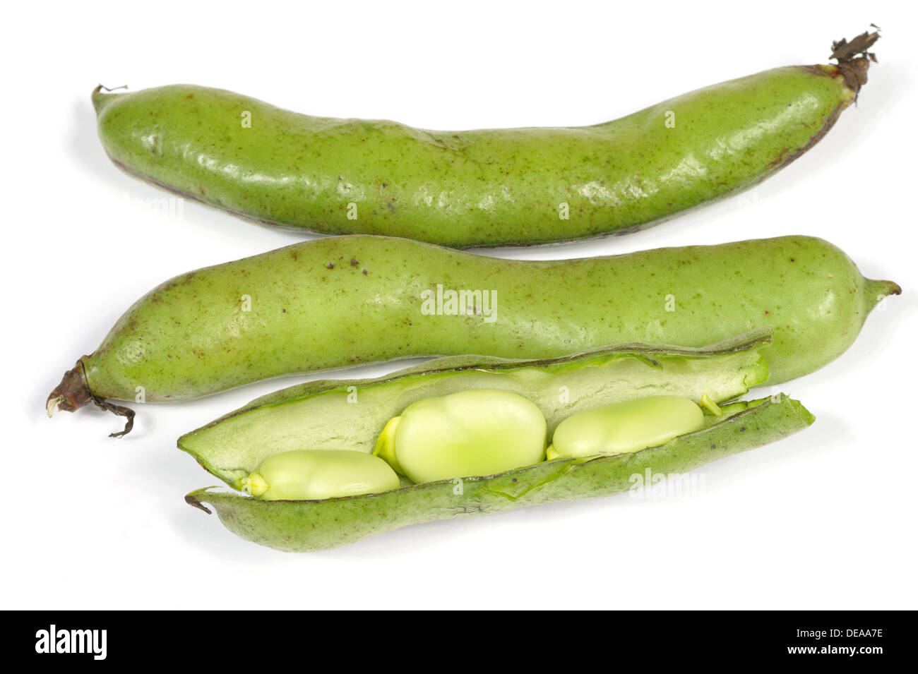 Haba bean hi-res stock photography and images - Alamy