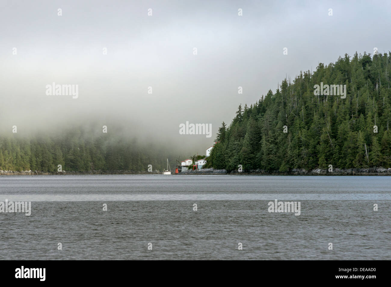 A yacht emerges from the morning mist as it passes the Boat Bluff light ...