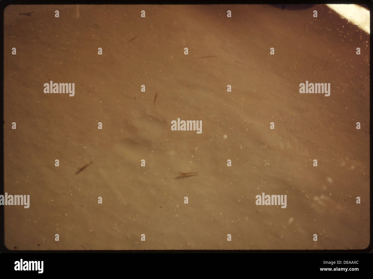 At the University of Arizona's Environmental Research Laboratory, young ...