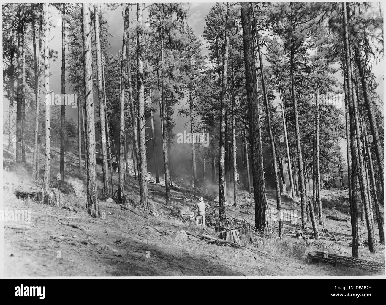 The image shows a broadcast slash burning operation in progress, with ...