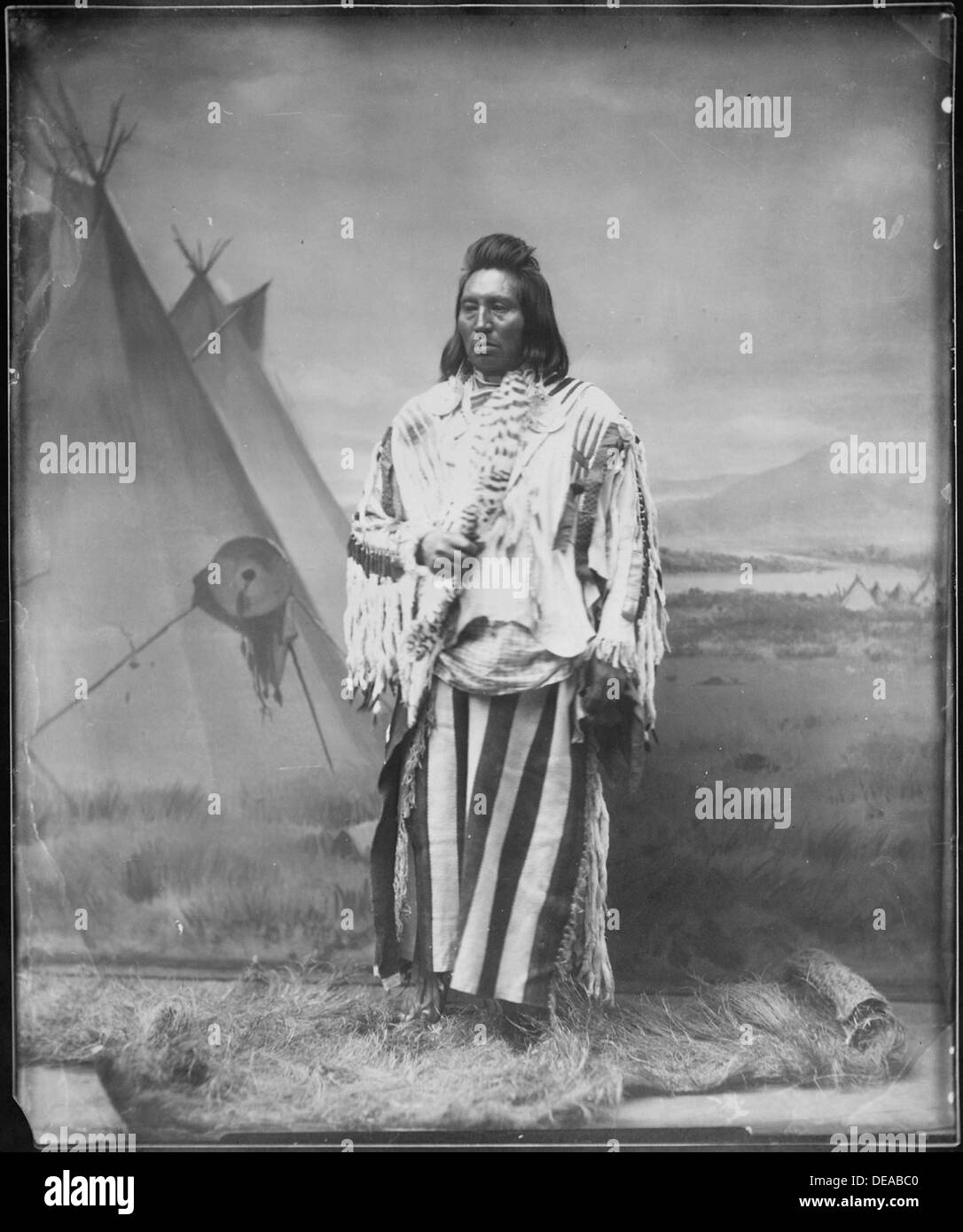 Chief wolf hi-res stock photography and images - Alamy