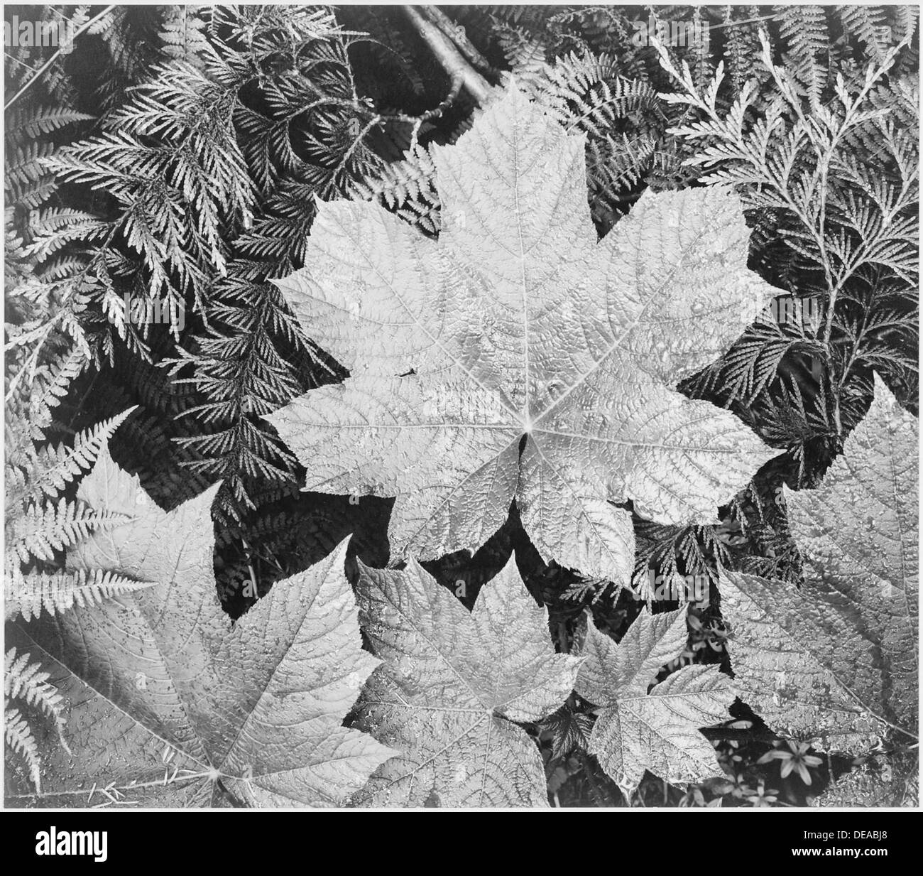 Images from above Black and White Stock Photos & Images - Alamy