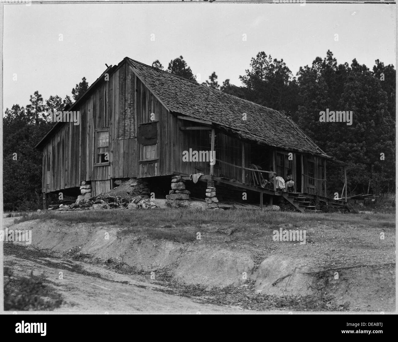 This photograph shows abandoned farm shacks located on government ...