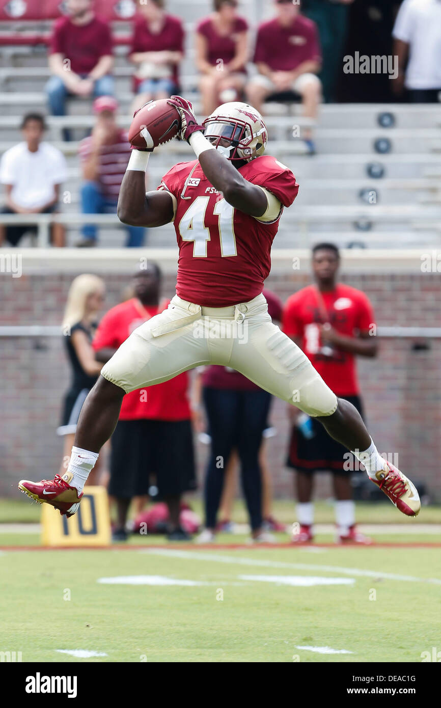 Chad wolf hi-res stock photography and images - Alamy